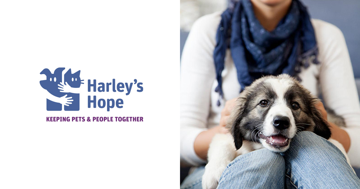 Home - Harley's Hope Foundation