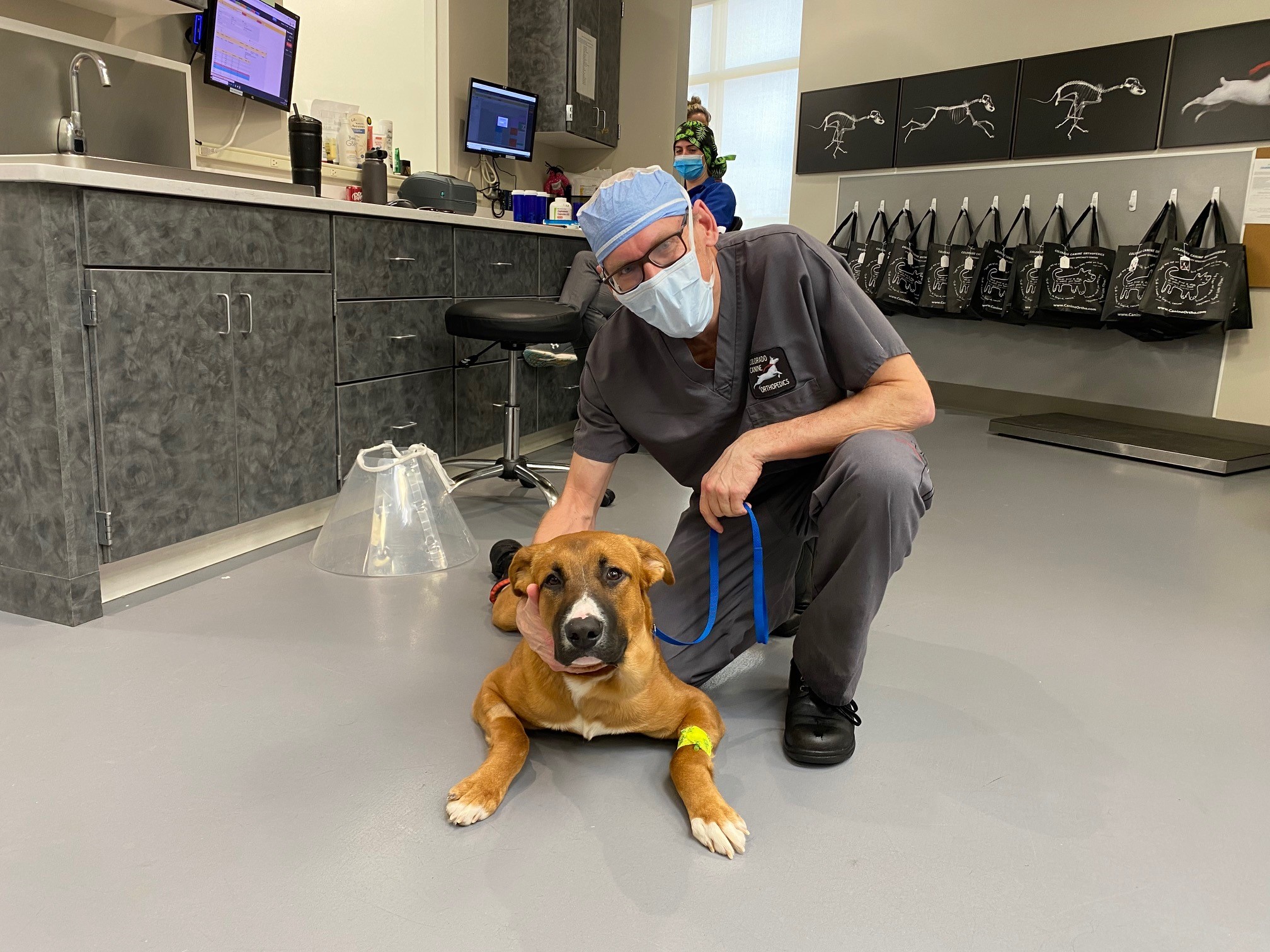 Home | Harley's Hope Foundation