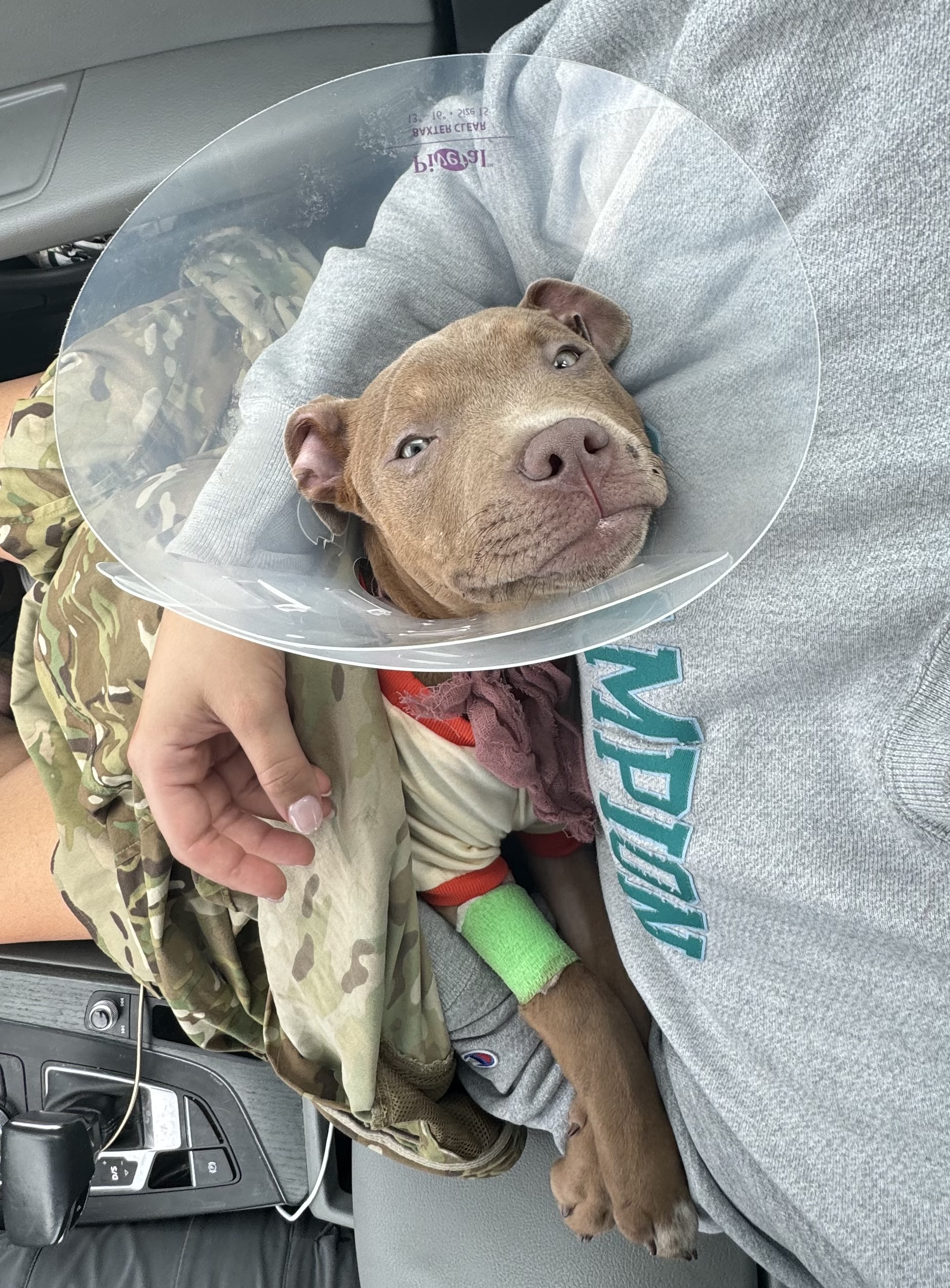 Home - Harley's Hope Foundation